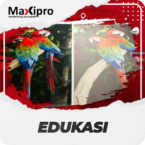 Tips Cara Mengaplikasikan Laminasi Doff & Glossy - Maxipro