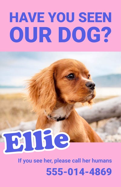 Pengertian, Fungsi, Ciri, dan Jenis-Jenis Poster - Maxipro