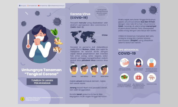 Perbedaan Pamflet, Leaflet, Dan Brosur Beserta Fungsinya - Maxipro