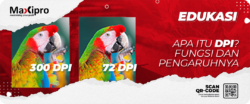 Apa Itu DPI? Fungsi dan Pengaruhnya Pada Hasil Cetak - Maxipro